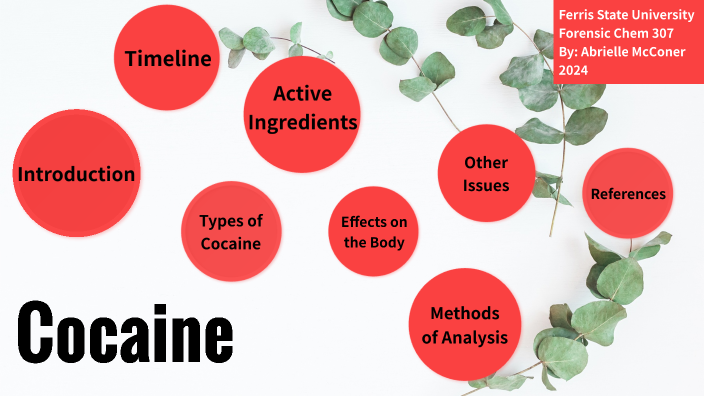 Cocaine Presentation by Abby on Prezi