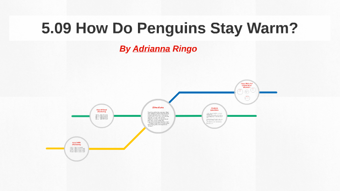 5.09 How Do Penguins Stay Warm? by adrianna Ringo on Prezi