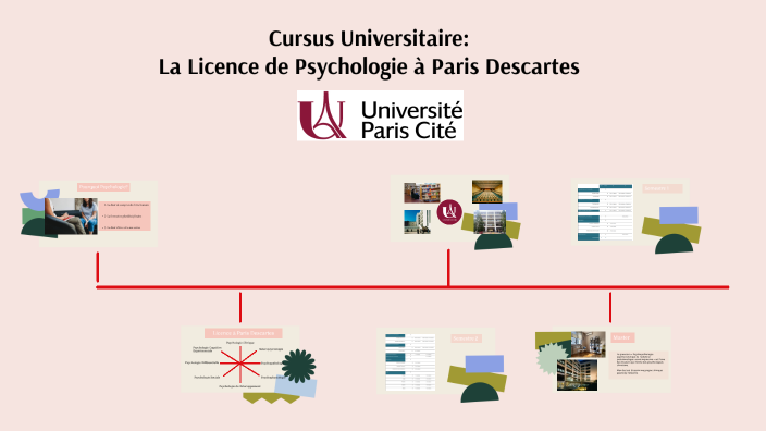 Cursus Universitaire by SILA KARSLI on Prezi