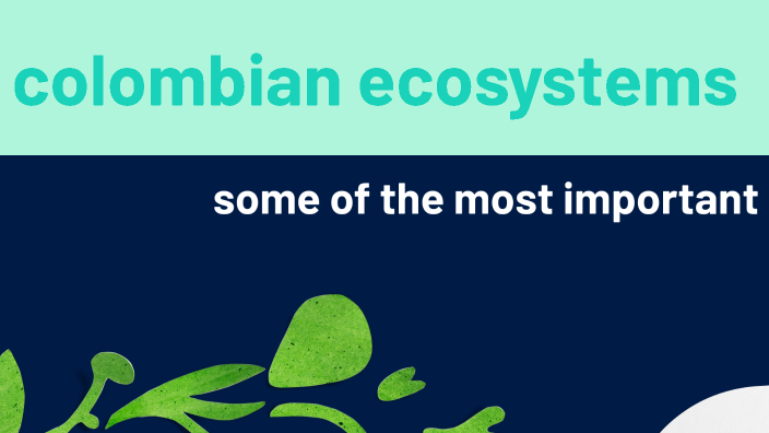 colombian ecosystems by EVELIN MARIN PALACIO on Prezi