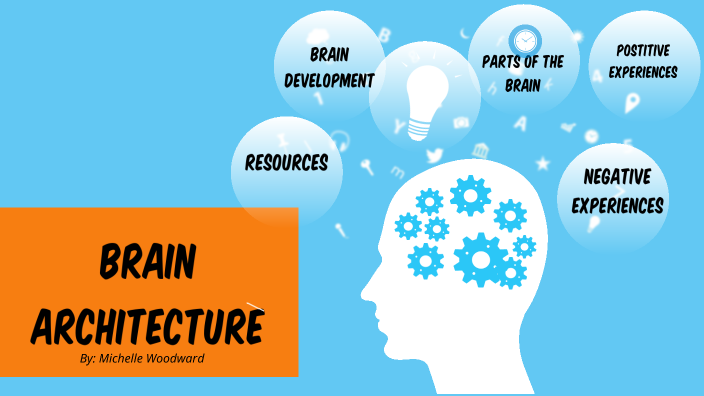 BRAIN ARCHITECTURE by Michelle Woodward on Prezi