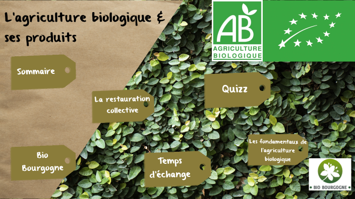 Présentation agri bio by Valentin Tournemolle on Prezi