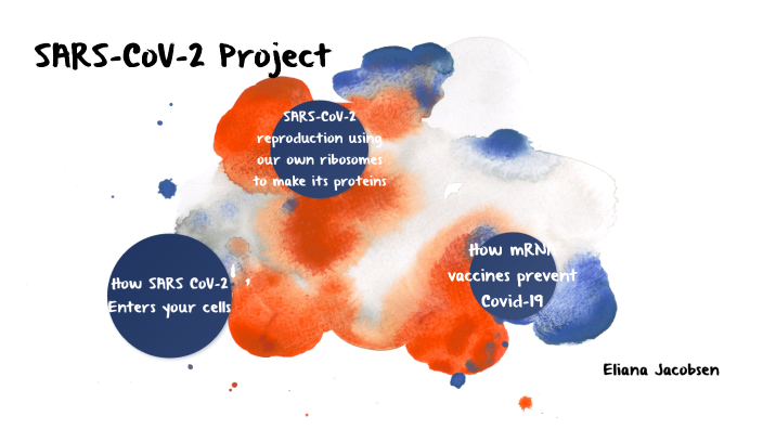 SARS-CoV-2 Project by Ellie Jacobsen on Prezi