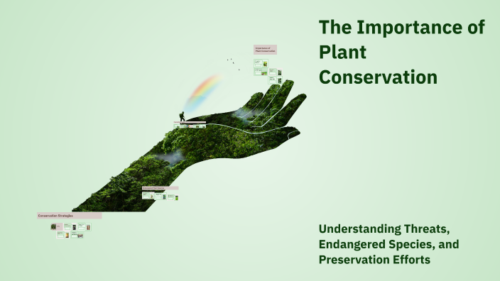 The Importance of Plant Conservation by Соня Сидоренко on Prezi