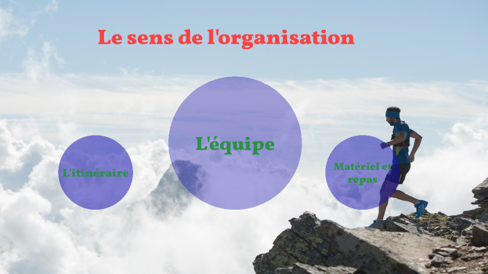 le sens de l'organisation by on Prezi