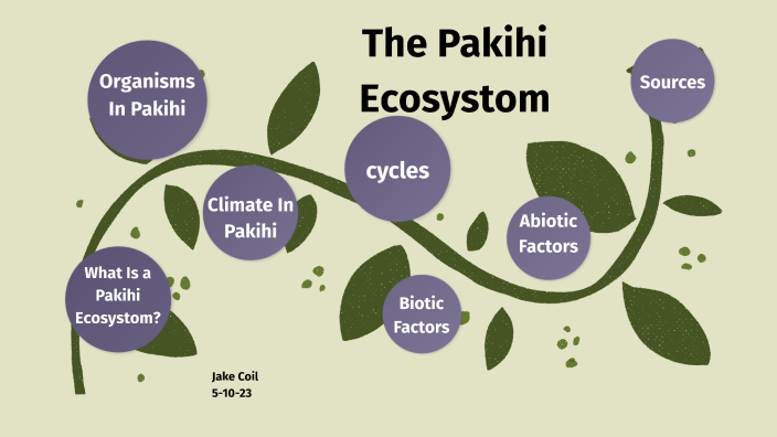 pakihi ecosystem by Jake Coil-28 on Prezi