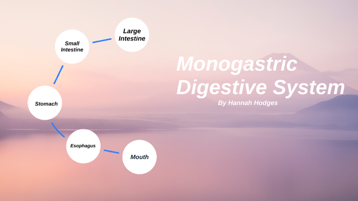 Monogastric Digestive System by Hannah Hodges on Prezi