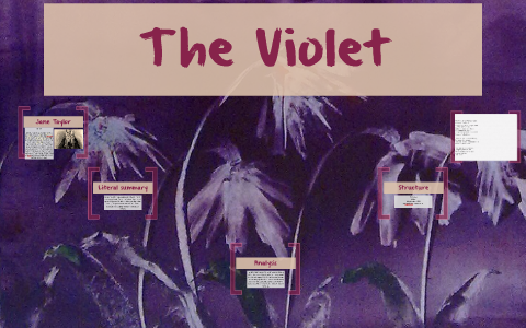 The Violet by Regina Alvarez on Prezi