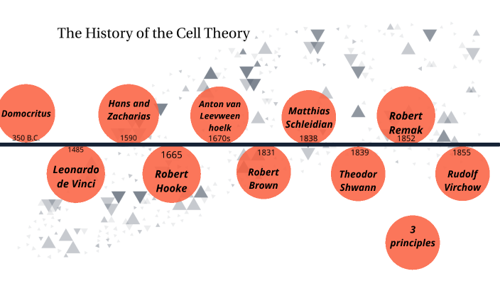 The History of the Cell Theory by Aliyah Bruner on Prezi