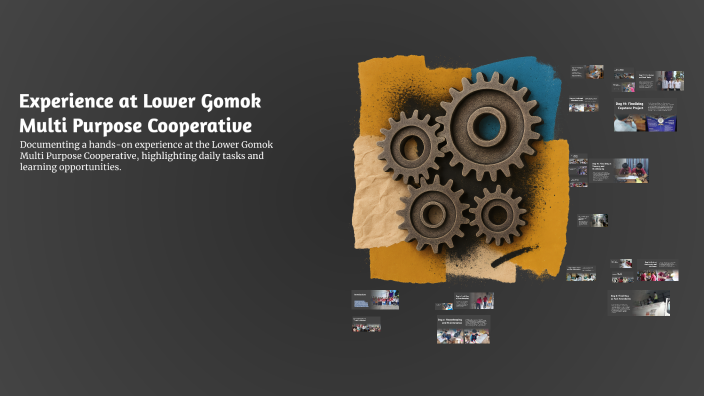 Experience at Lower Gomok Multi Purpose Cooperative by Jenner Dalisay ...