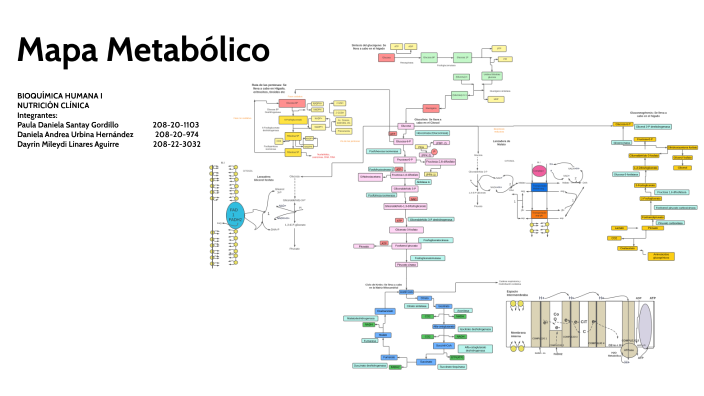 Mapa Metabólico Lab by Paula Santay on Prezi