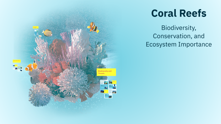 Coral Reefs by iris Galicia on Prezi