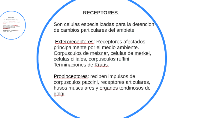 SISTEMAS SOMATOSENSORIAL DEL SISTEMA NERVIOSO by rocio pinzon bohada on ...