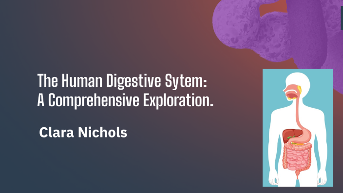 The Journey of Food: Understanding the Human Digestive System by Clara ...