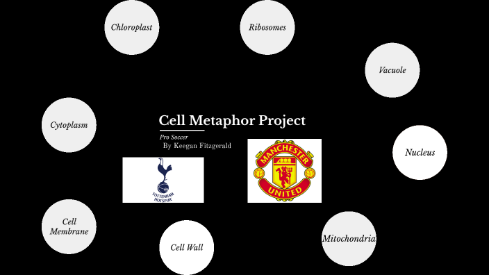 Cell metaphor project by Keegan Fitzgerald on Prezi