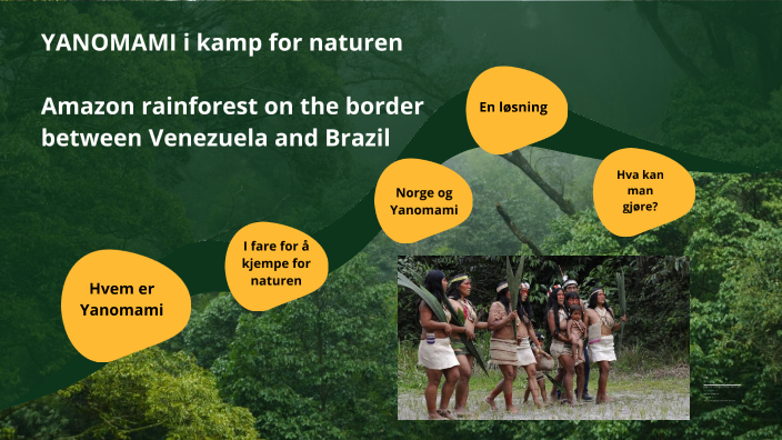 YANOMAMI Amazon rainforest on the border between Venezuela and Brazil ...
