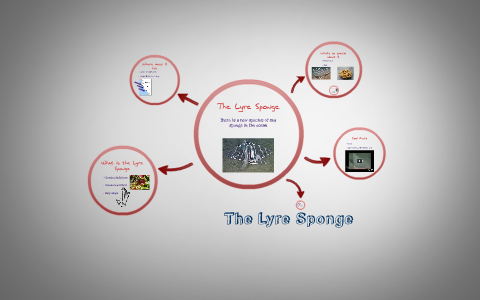 The Lyre Sponge by on Prezi