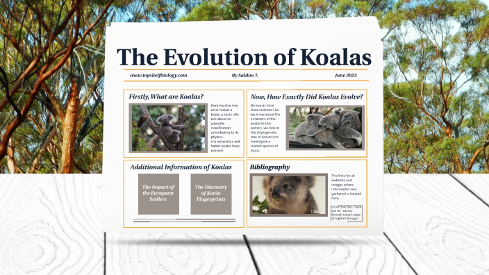 Evolution of Koalas by Saldon T. by Saldon Topjor on Prezi