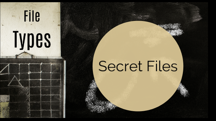 Flie Types by student Joseph Betz on Prezi