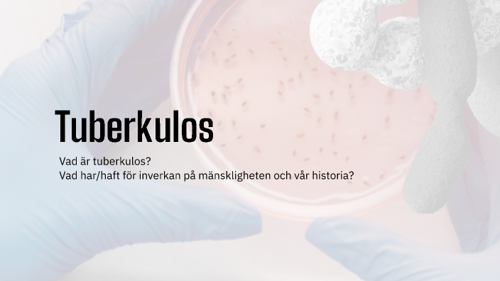 Tuberkulos Presentation by Tindra Alderup on Prezi