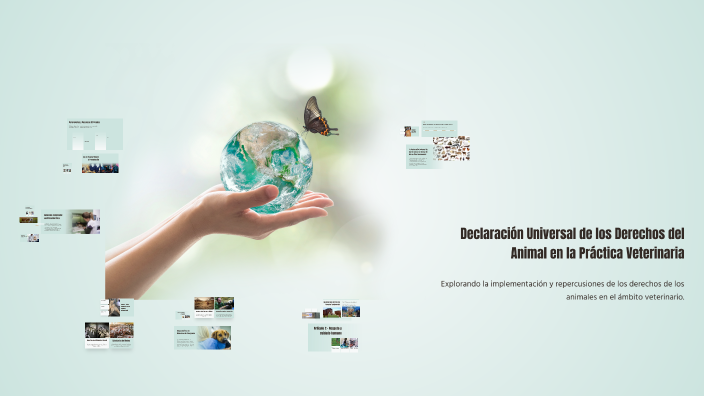 Declaración Universal de los Derechos del Animal en la Práctica ...