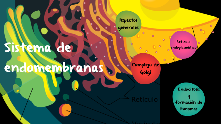 Sistema de endomembranas by Eimy Nikole Nava Garrido on Prezi