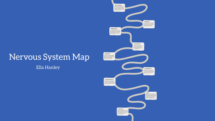 Nervous System Map by ELLA HANLEY on Prezi