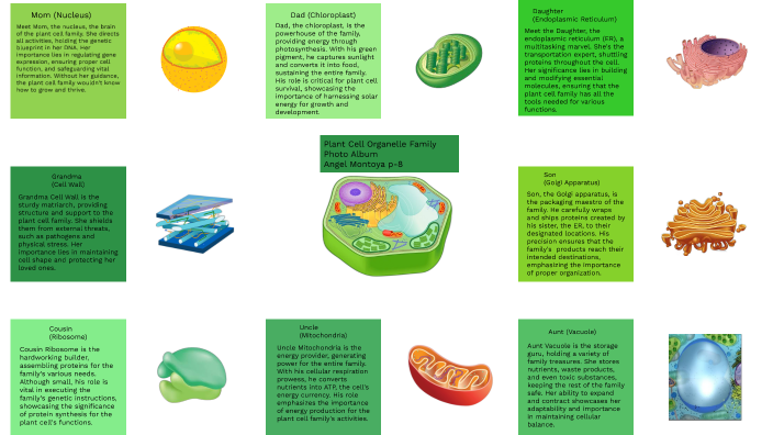 Plant Cell Organelle Family Photo Album by Angel M on Prezi