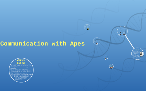 Communication with Apes by Samantha Adams