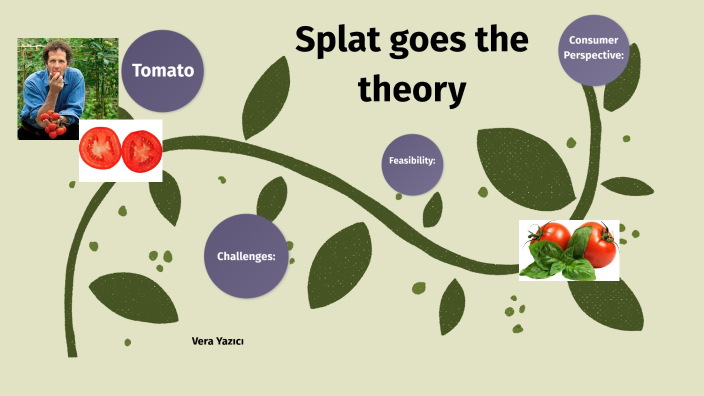 Splat goes the theory by VERA NUR YAZICI on Prezi