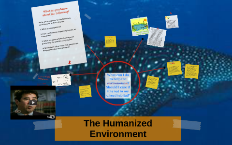 The Humanized Environment by Sara Stout on Prezi
