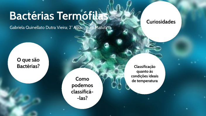 Bactérias Termófilas by Gabriela Quinellato on Prezi