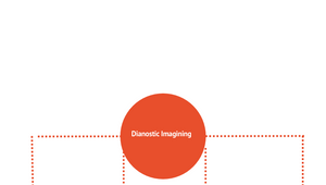 Diagnostic Imaging flow chart by Samantha Erives on Prezi Design