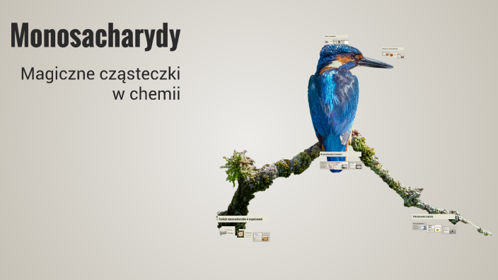 Monosacharydy by Amelia Kwiatkowska on Prezi