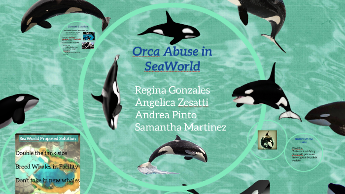 animal abuse in sea world by Regina Gonzales