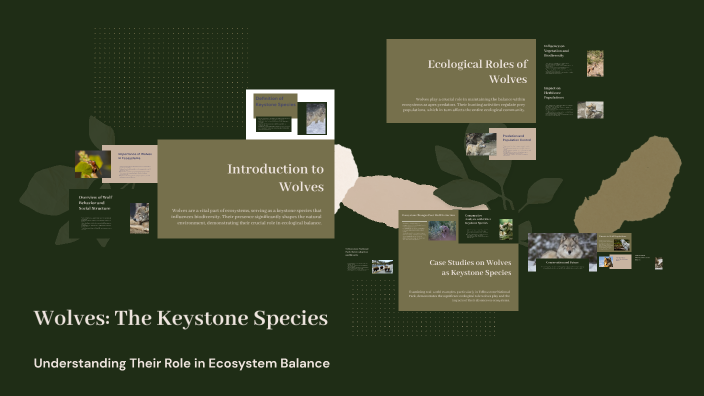 Wolves as Keystone Species by JACOB REYNA on Prezi