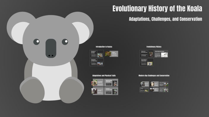 Evolutionary History of the Koala by Taylor Janson on Prezi