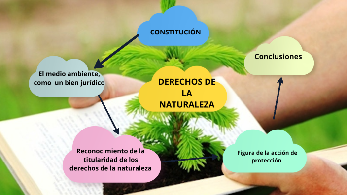 DERECHOS DE LA NATURALEZA by Dennys Adrian Morales on Prezi
