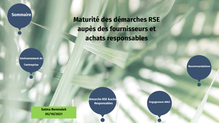 RSE et achat responsable by salma benmalek on Prezi