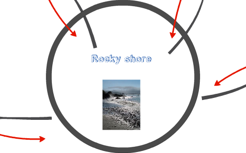Rocky Shore by morgan vaden on Prezi