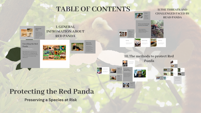 Protecting the Red Panda: Conservation of an Endangered Species by Thủy ...