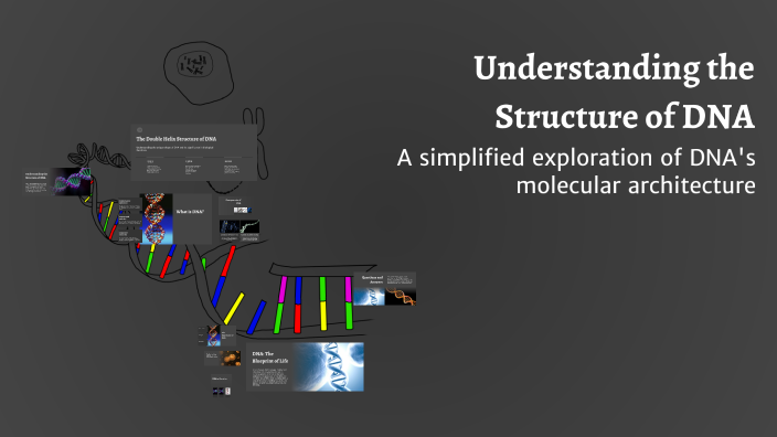 Understanding the Structure of DNA by Tyler Madsen on Prezi