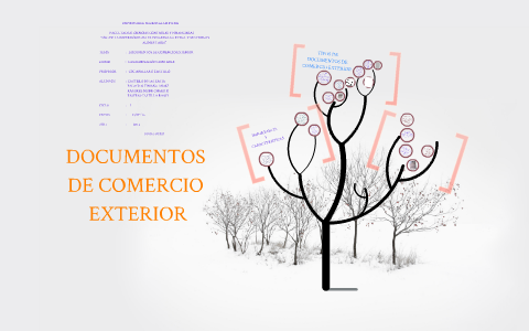 documentos de comercio exterior by diana carolina quispe espinoza on Prezi