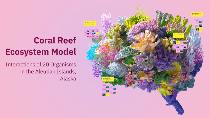 Coral Reef Ecosystem Model by Jayvin Savanthong on Prezi