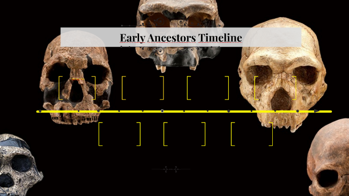 Early Ancestors Timeline by Jim Kim on Prezi