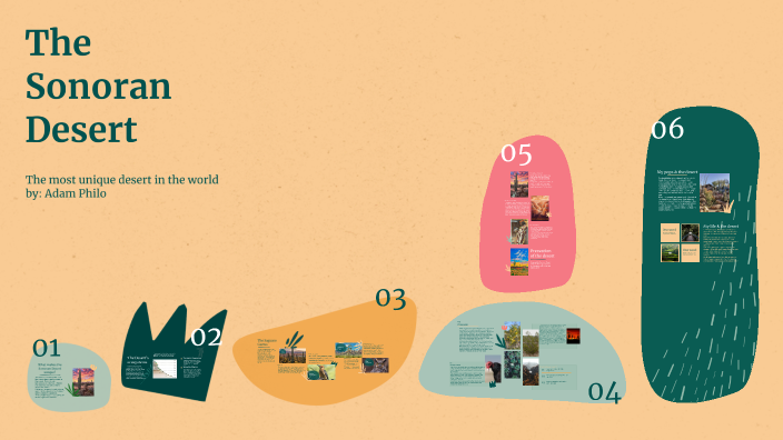 A story of the Sonoran Desert by Adam Philo on Prezi
