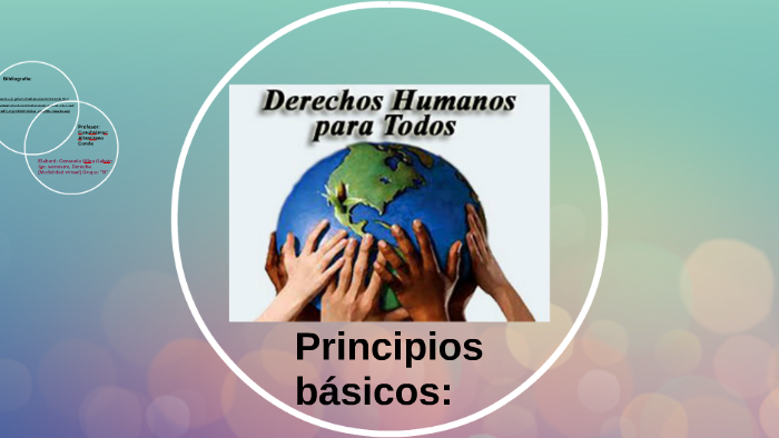 PRINCIPIOS BÁSICOS DE LOS DERECHOS HUMANOS by Consuelo Ulloa Galvan on ...