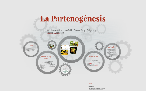 La Partenogénesis by Juan José Apolinar Romero on Prezi