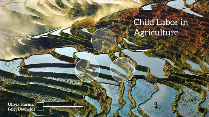 Child Labor - Agriculture by Olivia Harms on Prezi