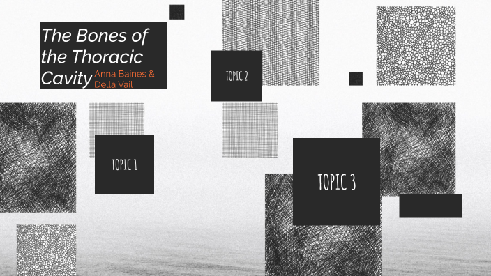 The Bones of the Thoracic Cavity by Anna Baines on Prezi